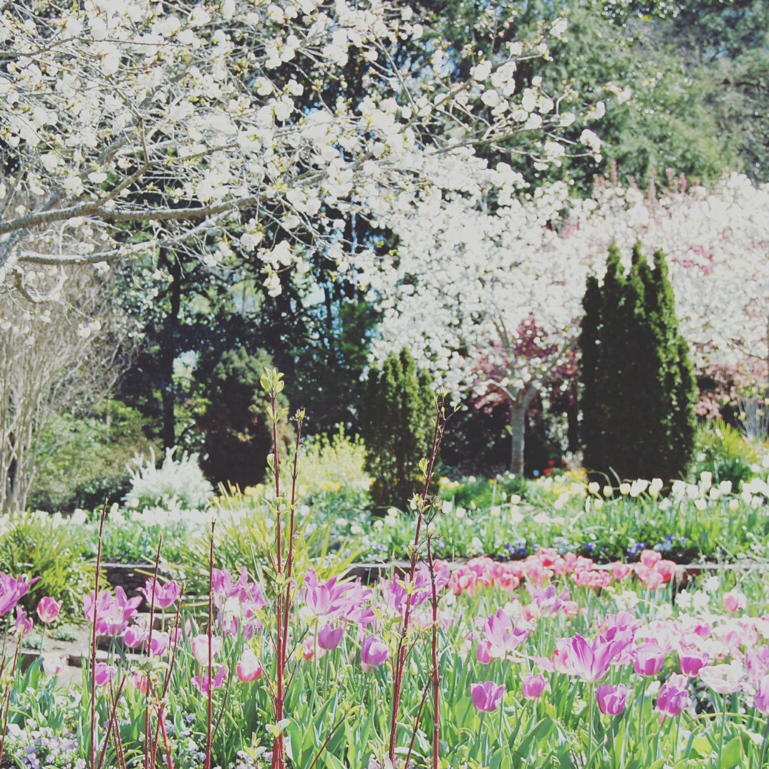 Dear Ms. Doe, I'm So Sorry (Otherwise Known as My Most Embarrassing ...